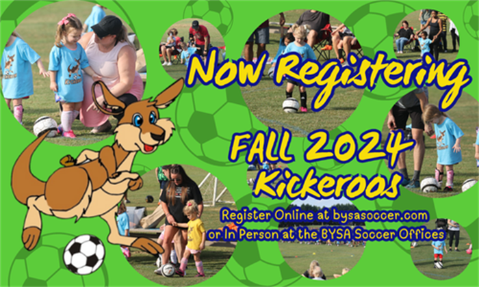 Home [www.bysasoccer.com]