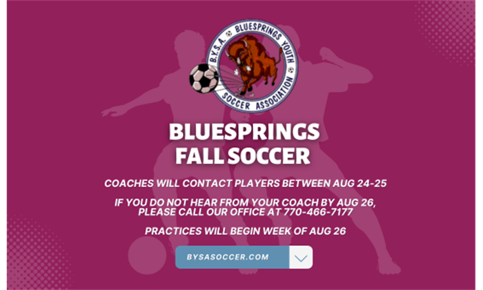 Home [www.bysasoccer.com]